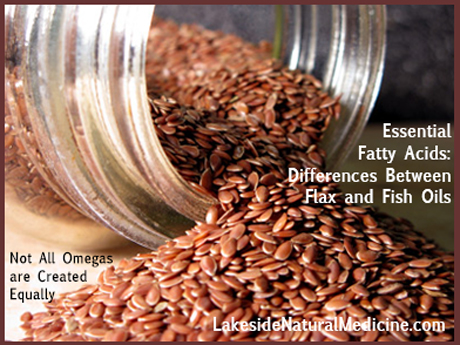 Blog | Inflammation Busters: Fish Oil vs. Flax Seeds